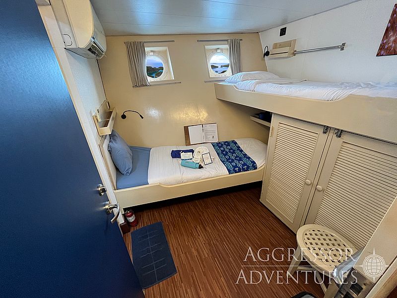 Holiday Search | Liveaboard Departures | RegalDive